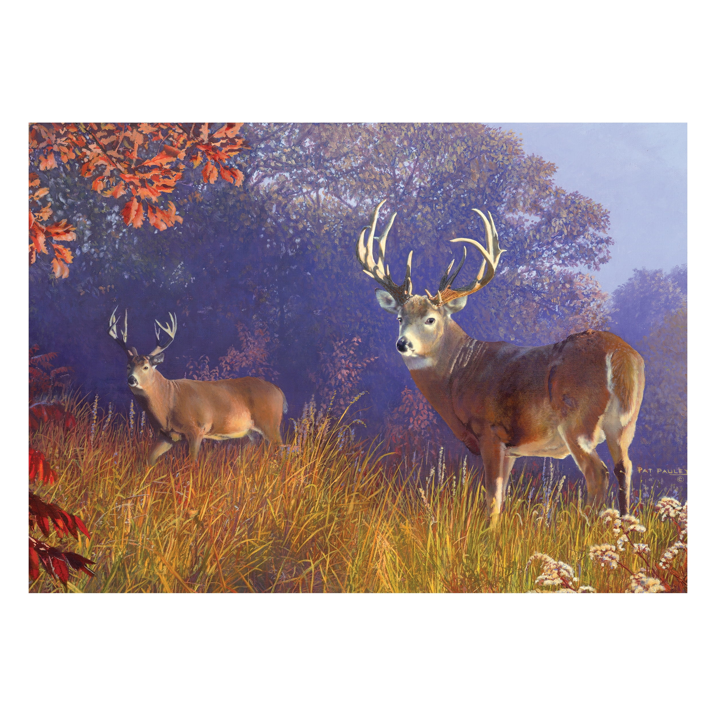 River's Edge Products 1000 Piece Puzzle, Jigsaw Puzzle in Tin for ...