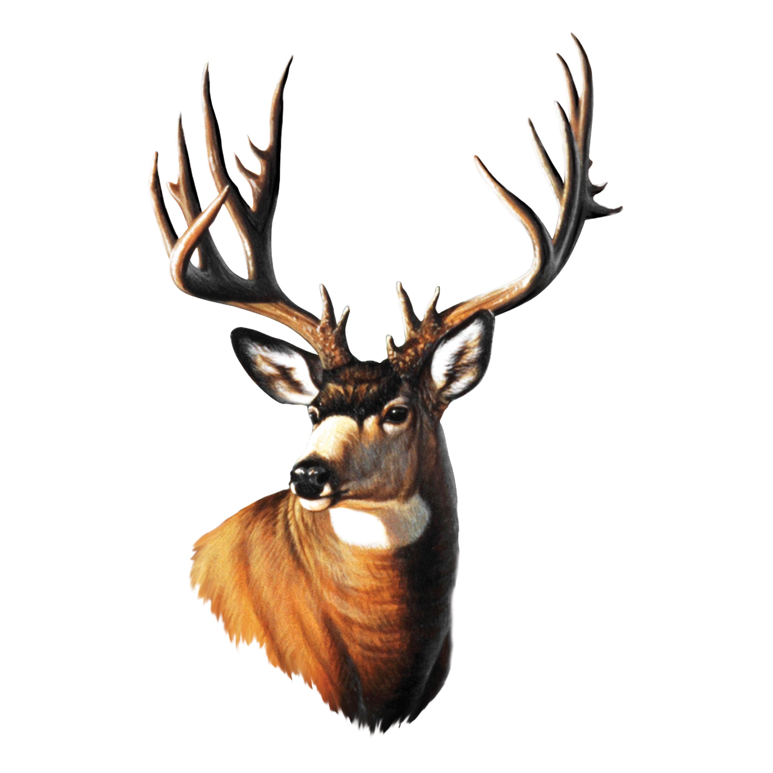 Rivers Edge Products Mule Deer Car Magnet - Walmart.com