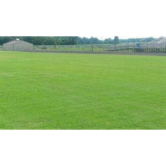 Johnston Seed Riviera Bermuda Grass Seeds 10 Lb Cold Tolerant