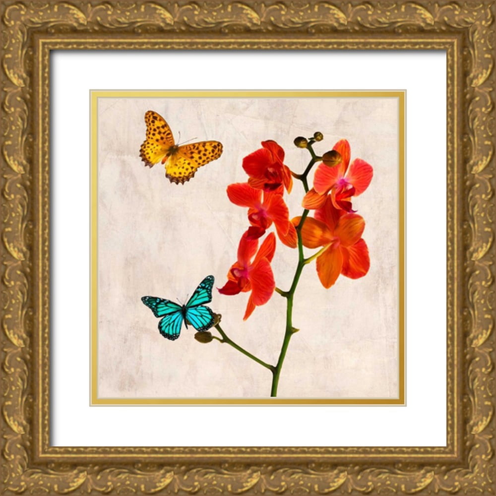Rizzardi, Teo 20x20 Gold Ornate Wood Framed with Double Matting Museum ...