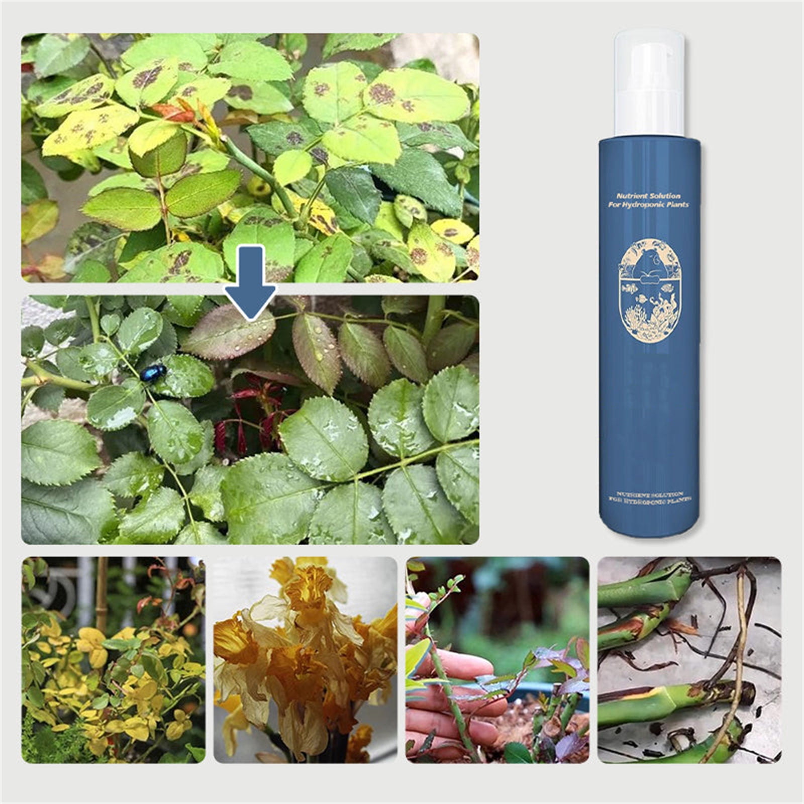 Rkxzt Up to 30% OFF！Nutrient Solution,Hydroponic Plant Nutrient ...