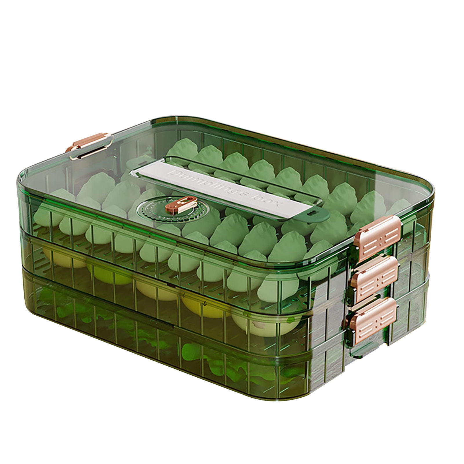 Rlietter Dumpling Container Refrigerator Storage Box with Transparent ...