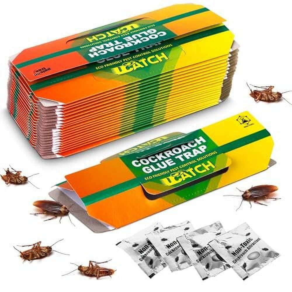 Roach Killer Indoor Infestation - 12 Roach Bait Traps Effective German ...