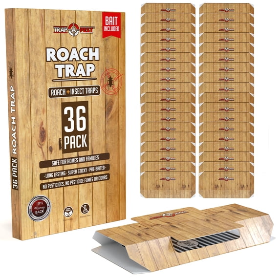 Roach Traps Indoor Sticky (36 Pack) - Glue Traps for Roaches Bug Traps ...