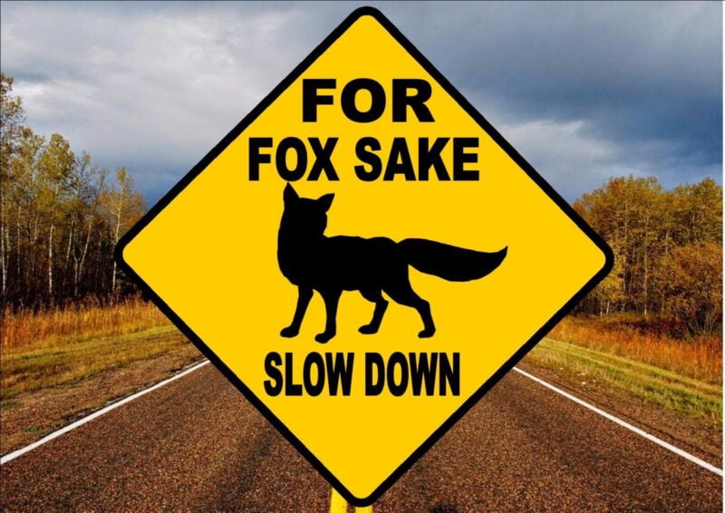 Road Sign Funny Novelty Road Sign Street Sign Fox Road Sign Joke For ...
