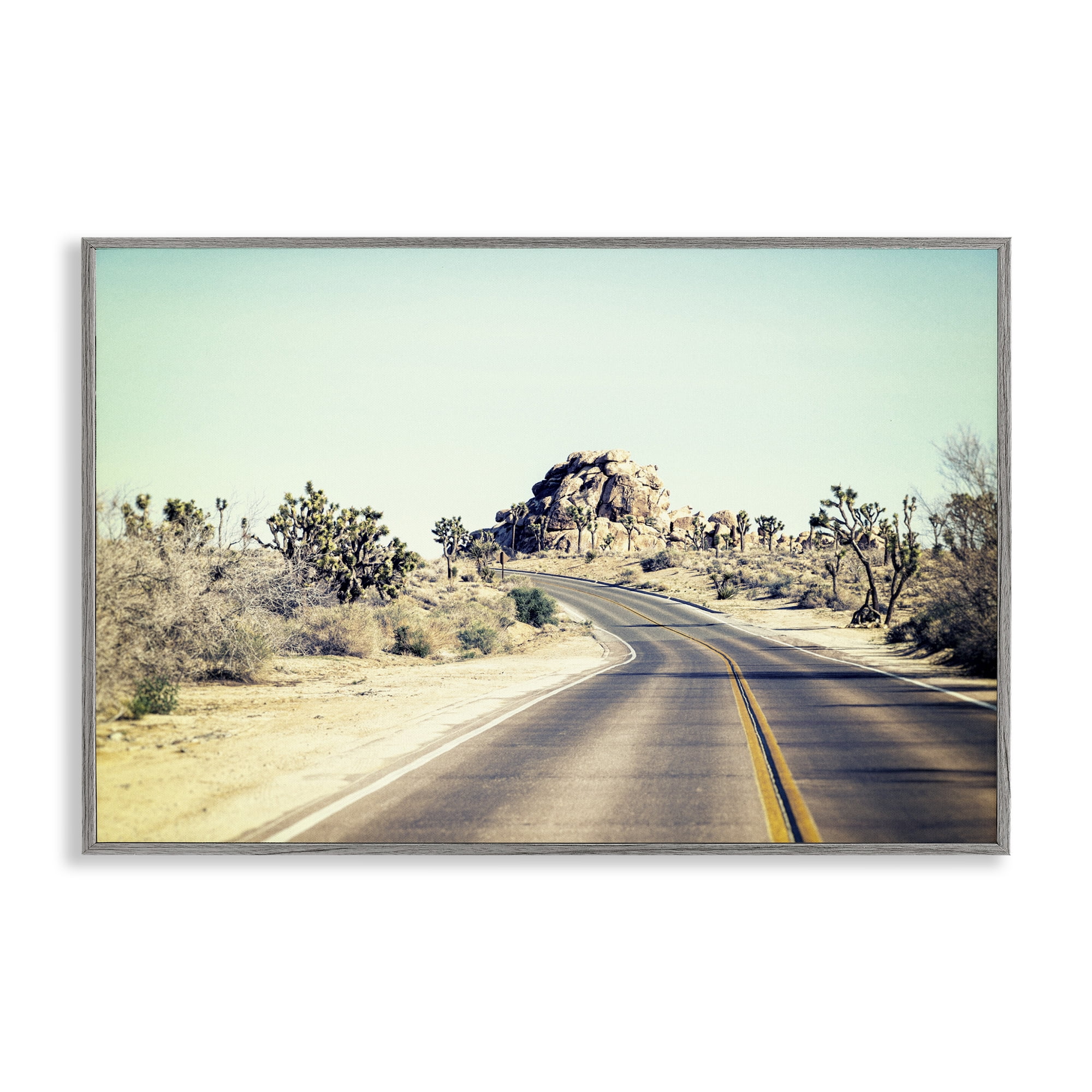 Road Trip Joshua Tree Park Gray Framed Giclee Art, design by Joseph S ...