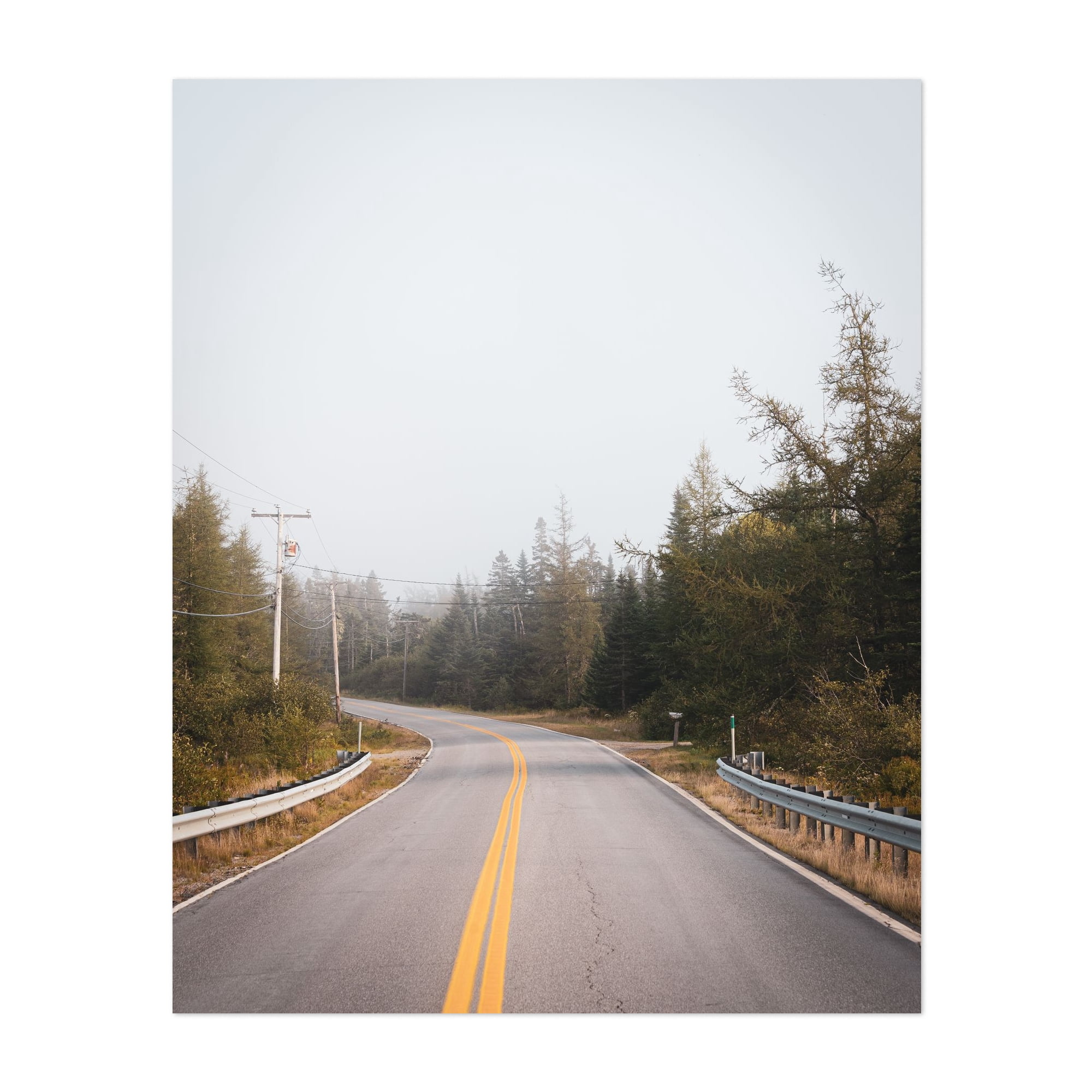Road in Cutler, Maine - Cutler Maine Photography Rural Scenic Nature ...