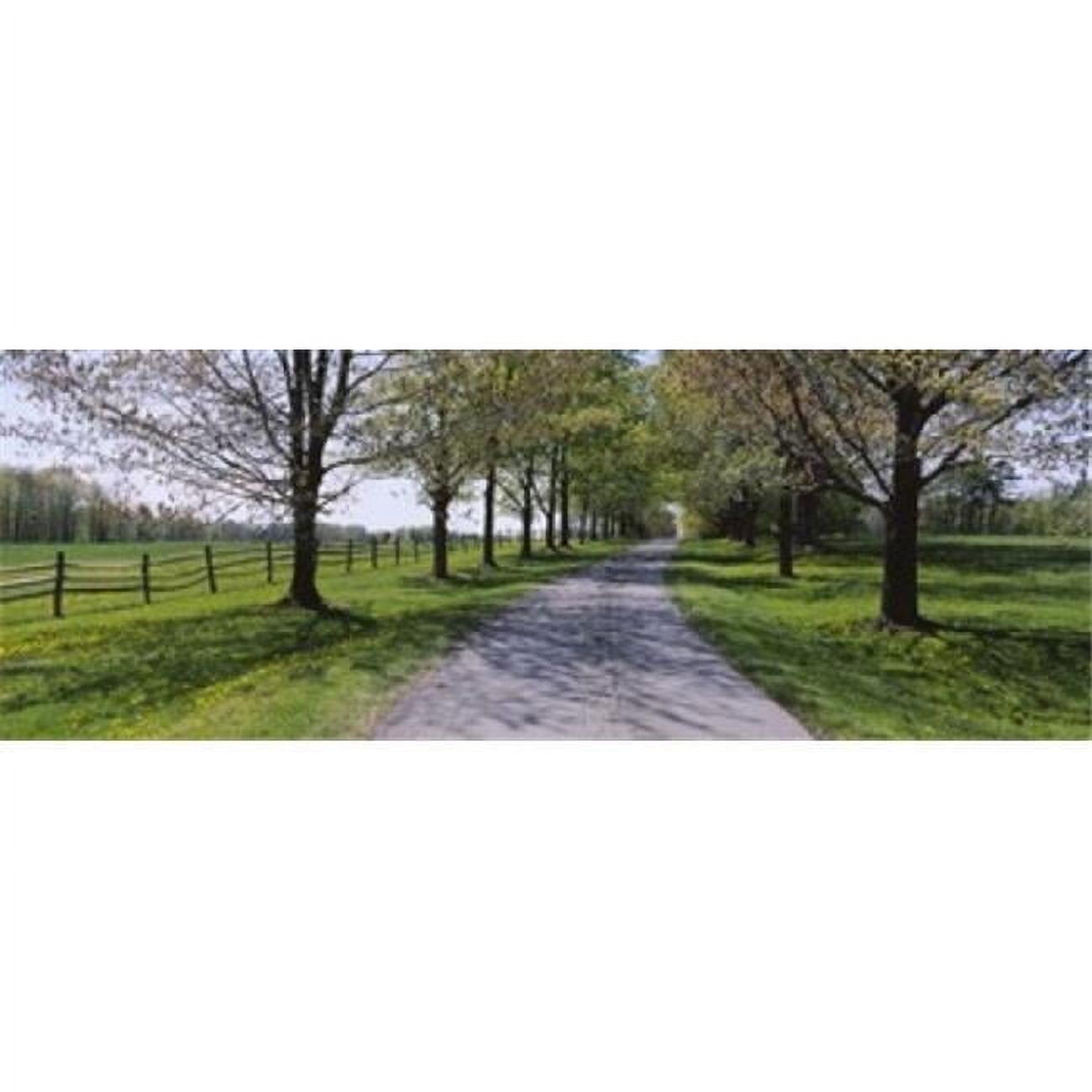Road passing through a farm, Knox Farm State Park, East Aurora, New ...