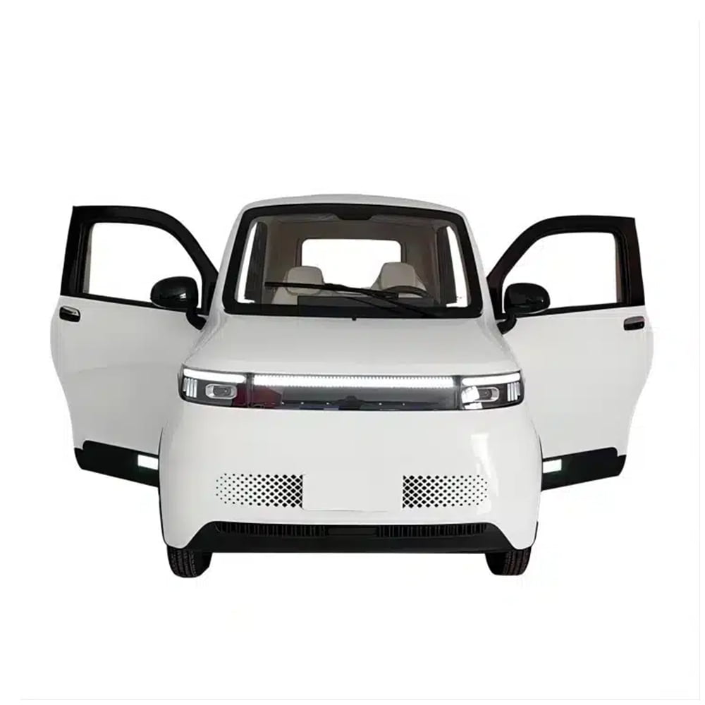 RoadMaster X-1200: Enclosed Two-Seater Electric Mobility Scooter with ...