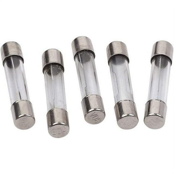 30 Amp Automotive Fuses