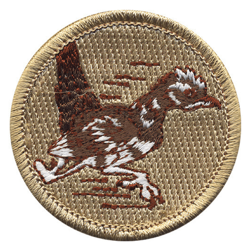 RoadRunner Scout Patrol Patch (Sew-on) - ClassB - Walmart.com