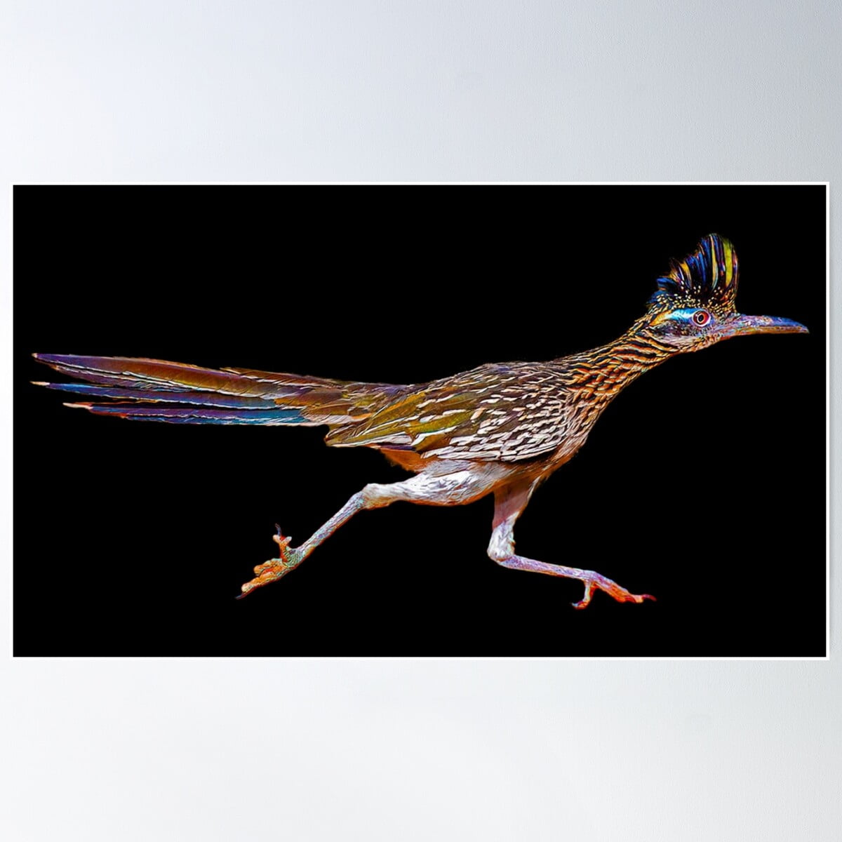 Roadrunner Running Poster Wall Art, Modern Wall Decor For Living Room ...