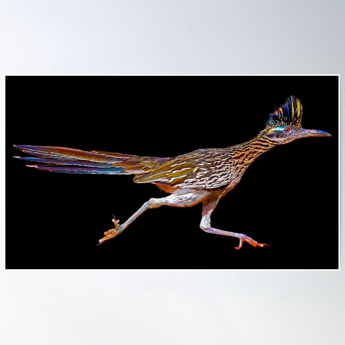 Roadrunner Running Poster Wall Art, UNFRAMED PAPER POSTER, Home Decor ...