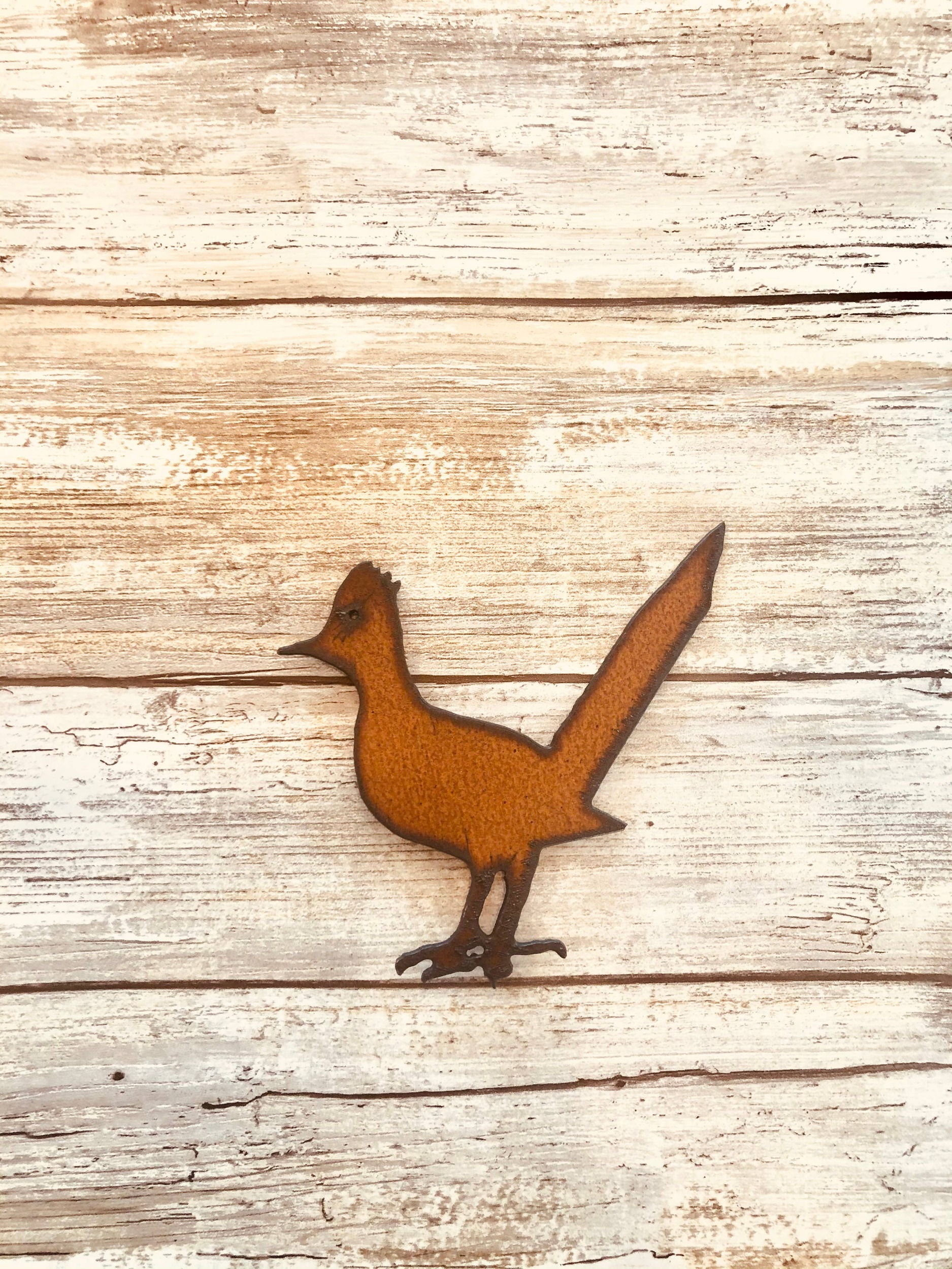 Roadrunner looking Forward Desert Magnet - Walmart.com