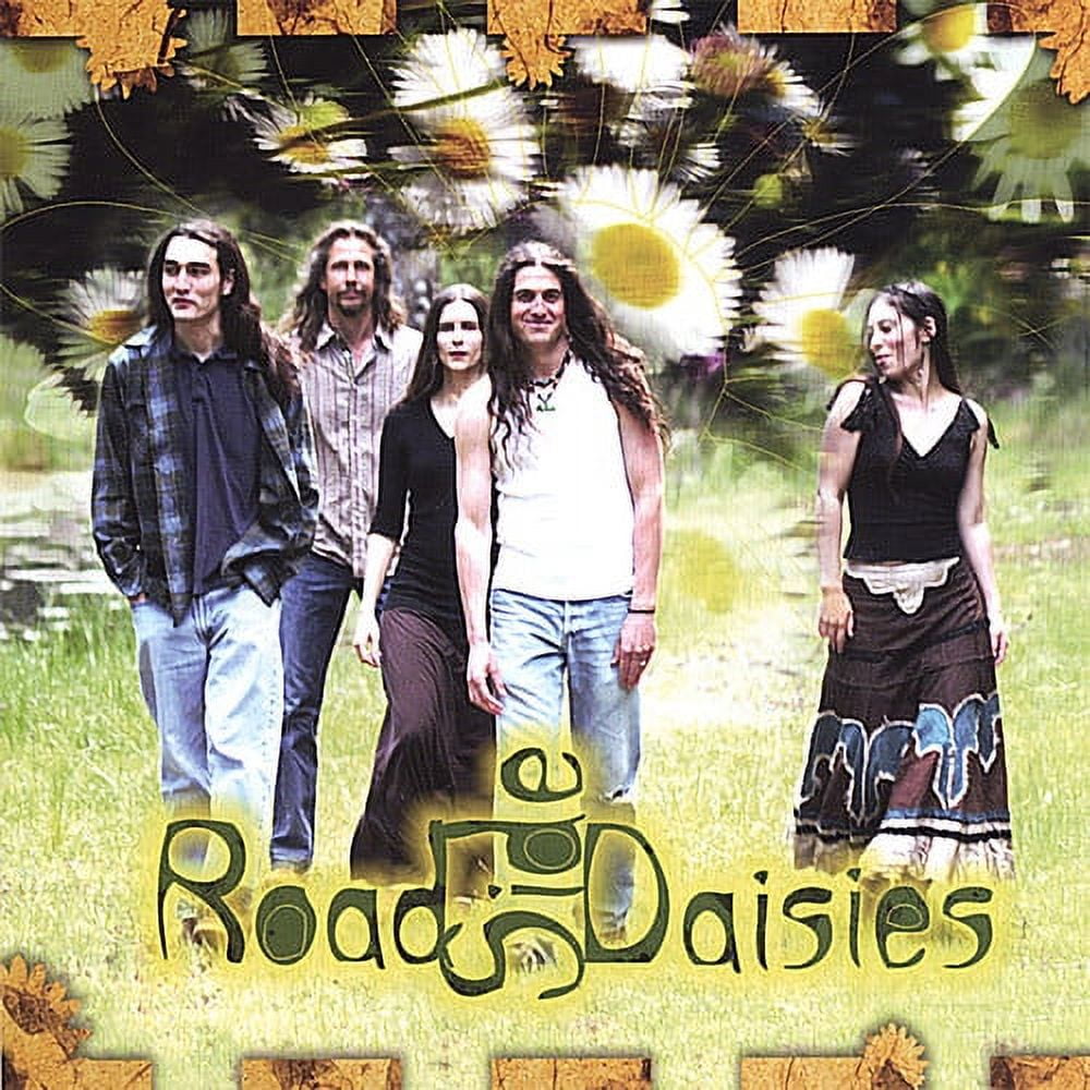 Pre-Owned - Roadside Daisies - Walmart.com