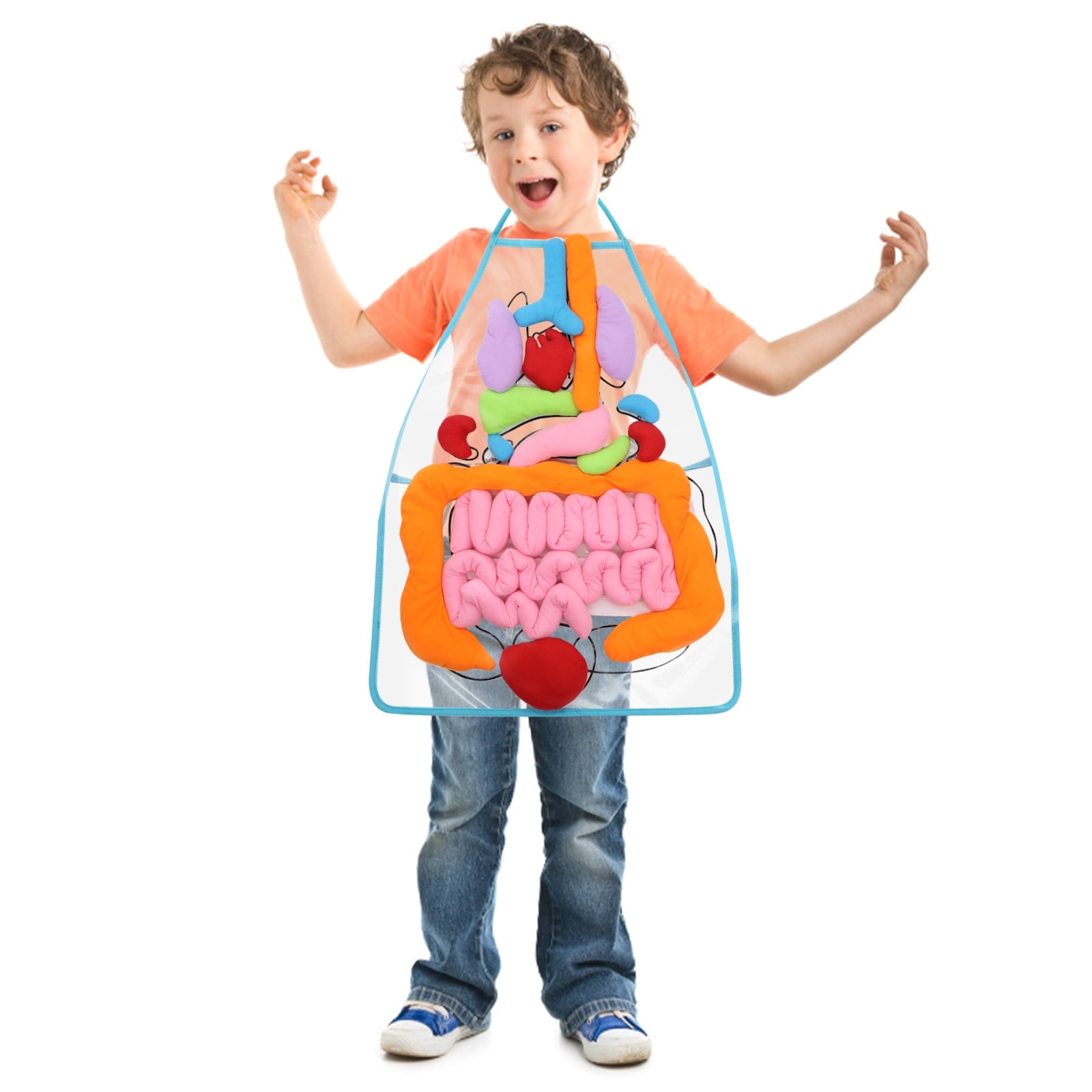 RoamReady Human Body Organ Anatomy Apron Awareness Toy for Children ...