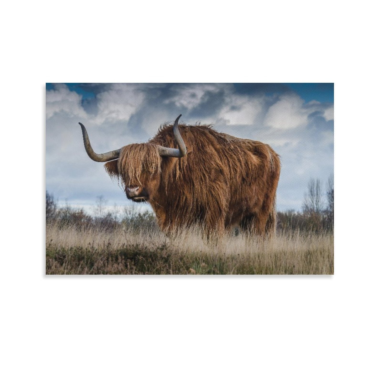 Roaming Yak Art Wildlife Animal Canvas Art Poster And Wall Art Picture ...