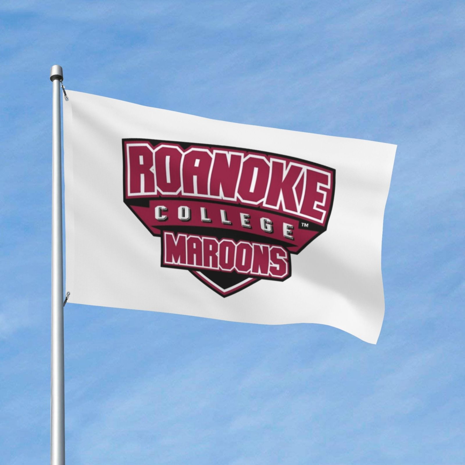 Roanoke College Logo Banner 3x5 Ft Flag,Double Sided Printed Flag ...