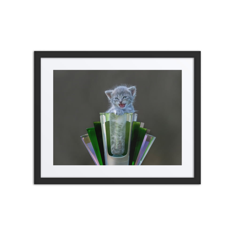 Roaring Kitten! Framed Horizontal Poster (16″×20″) - Walmart.com