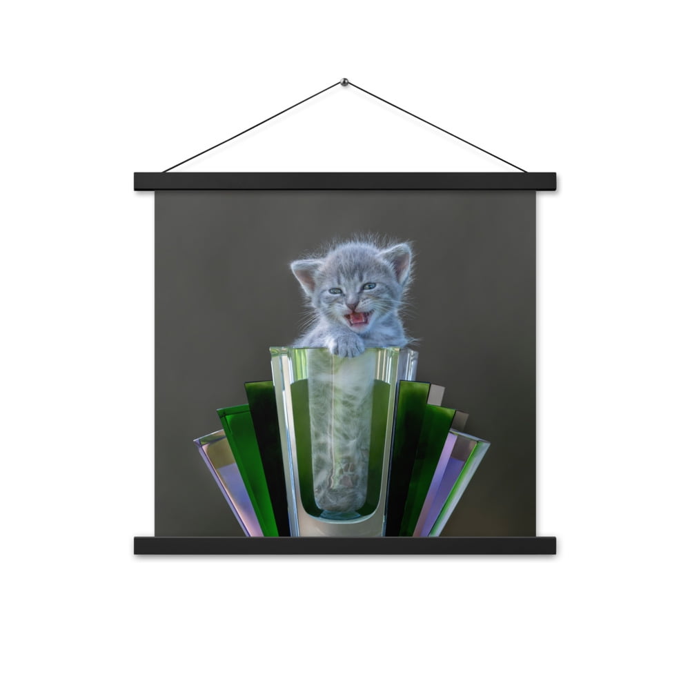 Roaring Kitten! - Poster with hangers (Black, 18″×18″) - Walmart.com