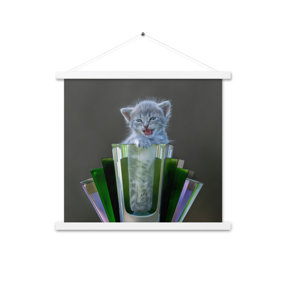 Roaring Kitten! - Poster with hangers (White, 18″×18″) - Walmart.com