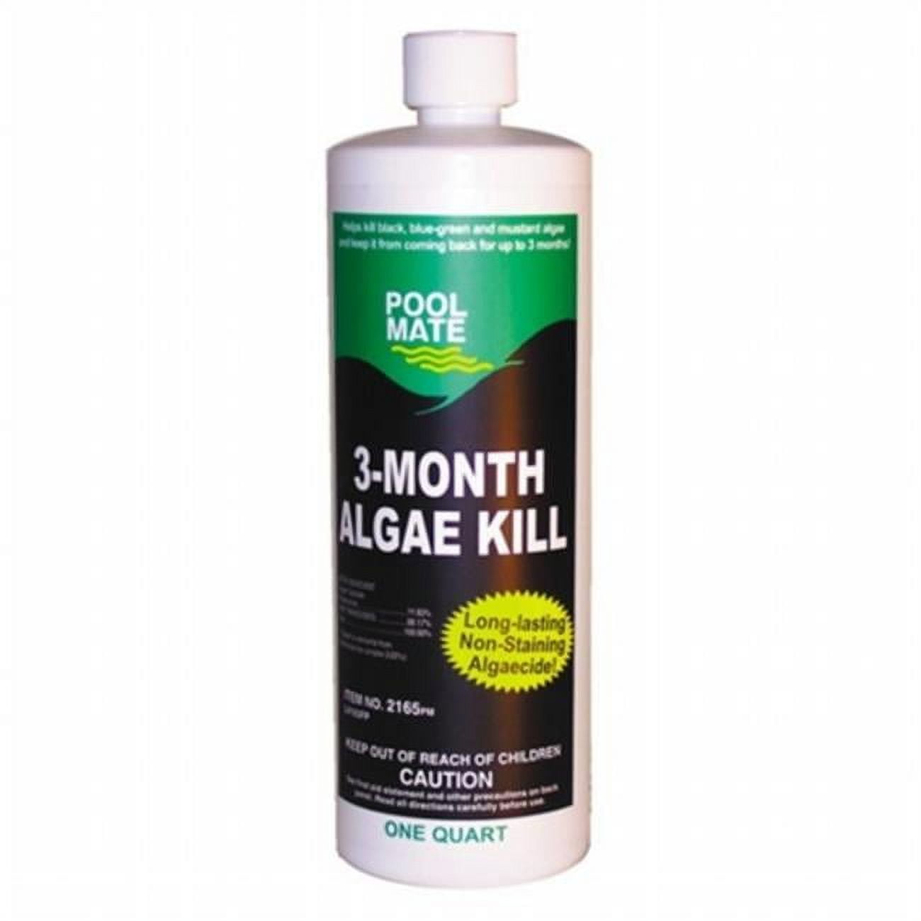 Robelle Pool Algae Cleaner - 3 Month Water Clearing Solution, 4 Quarts ...