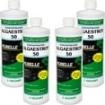 Robelle Concentrated Algaestroy 50 Swimming Pool Algaecide, 1-Quart 4 ...