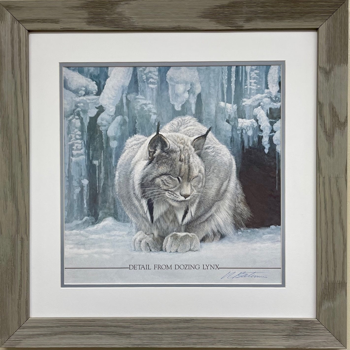 Robert Bateman "Detail from Dozing Lynx" Hand Signed FRAMED Wildlife ...