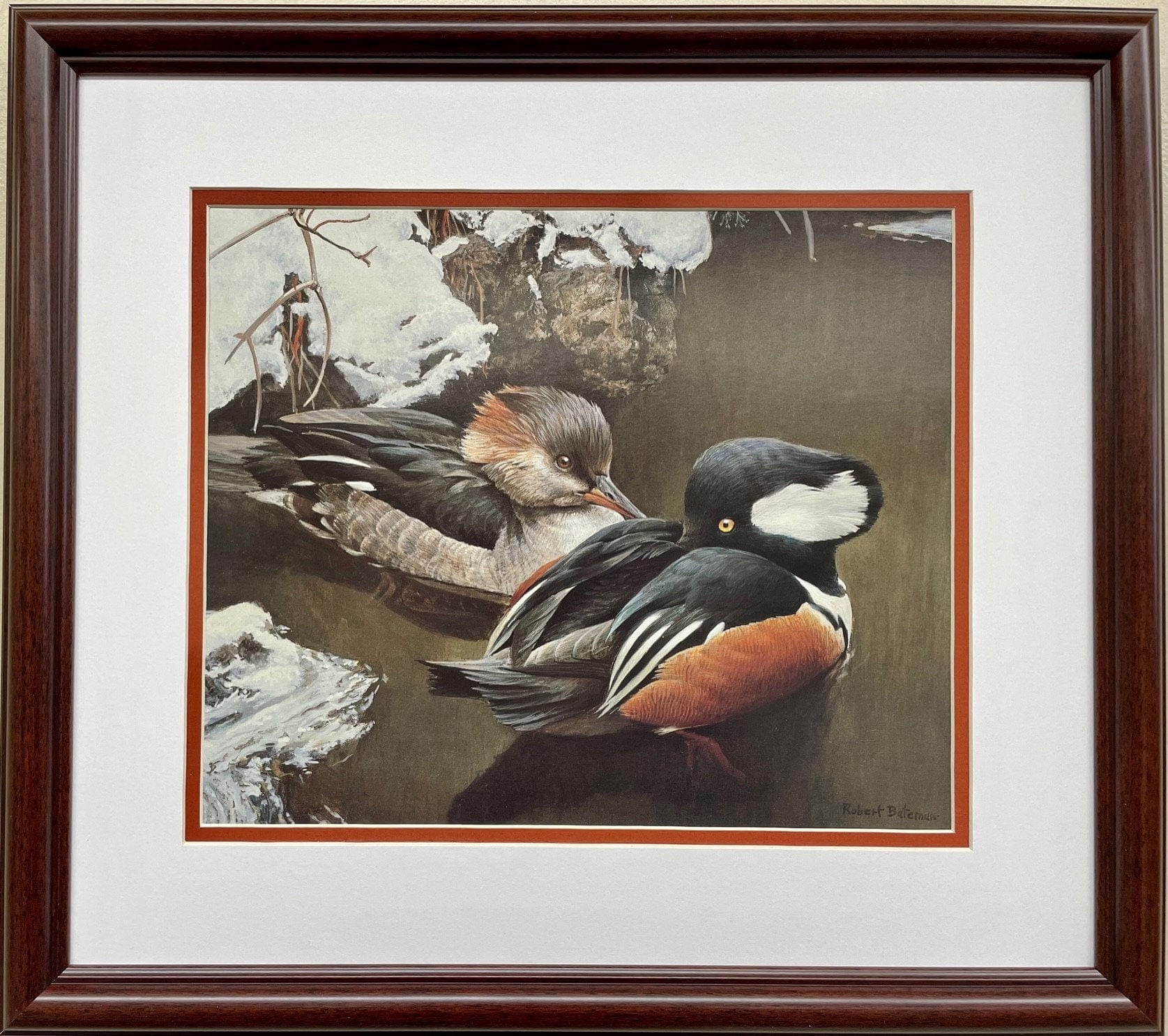 Robert Bateman "Hooded Mergansers in Winter" Framed Plate Signed ...