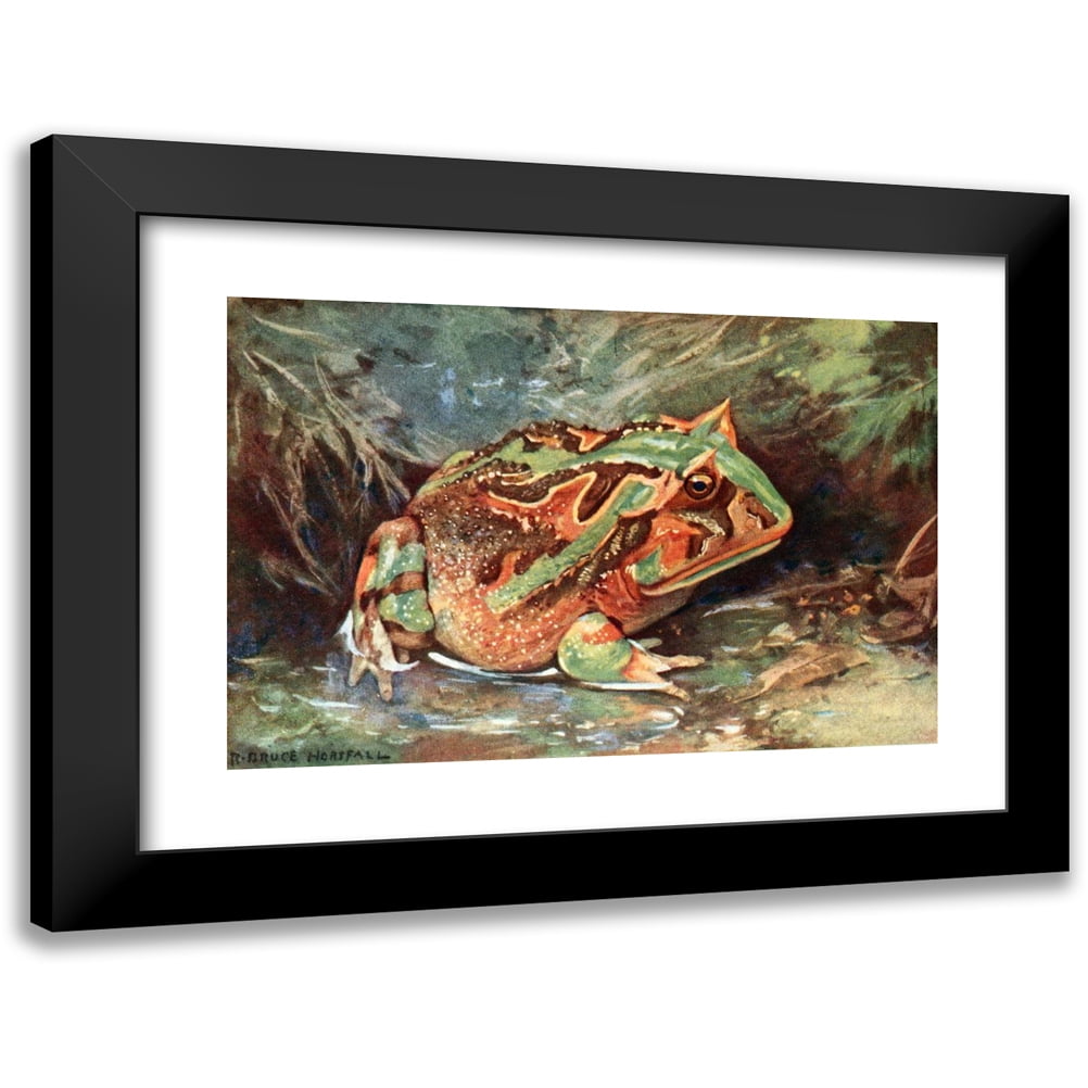 Robert Bruce Horsfall 18x13 Black Modern Framed Museum Art Print Titled ...