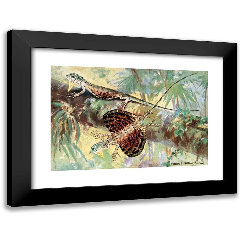 Robert Bruce Horsfall 18x13 Black Modern Framed Museum Art Print Titled ...