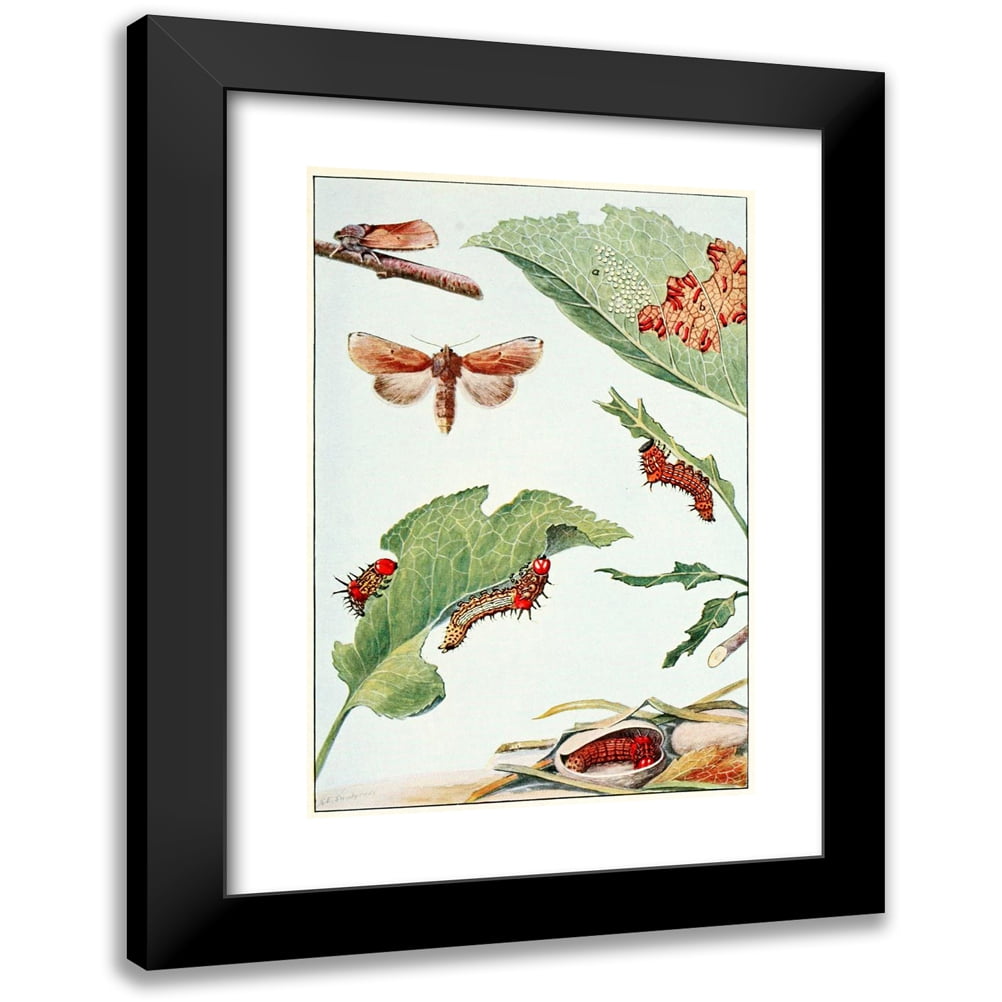 Robert Evans Snodgrass 11x14 Black Modern Framed Museum Art Print ...