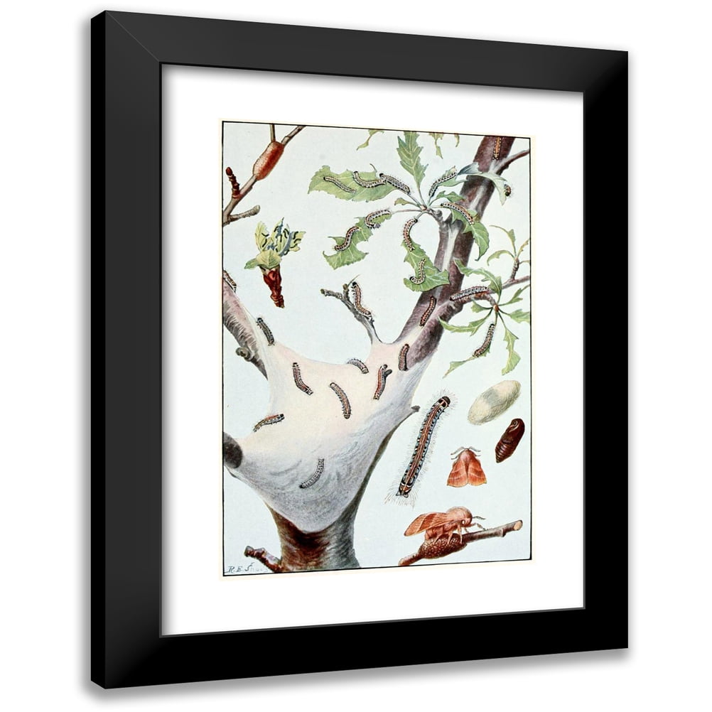 Robert Evans Snodgrass 17x24 Black Modern Framed Museum Art Print ...