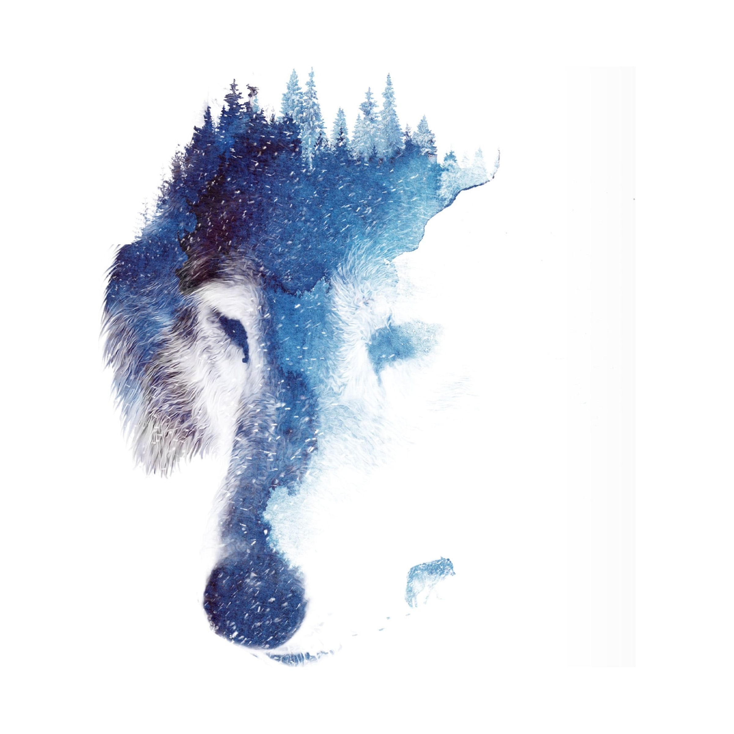 Robert Farkas Through Many Storms Canvas Art - Giclee Print - Walmart.com