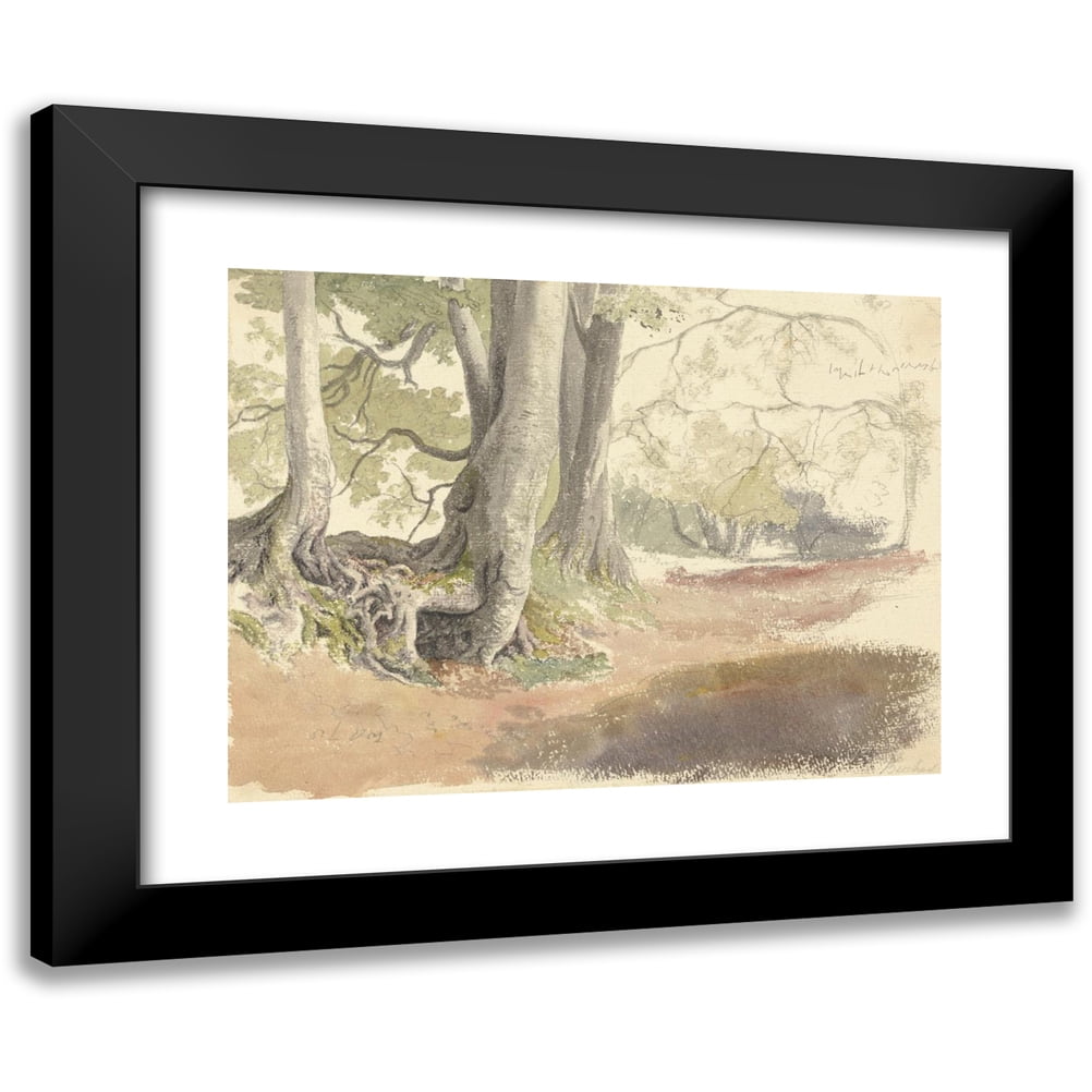 Robert Hills 18x14 Black Modern Framed Museum Art Print Titled - Beech ...