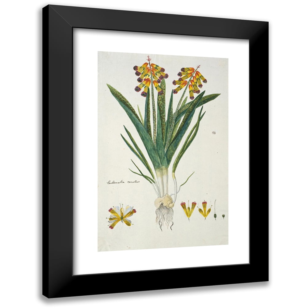 Robert Jacob Gordon 11x14 Black Modern Framed Museum Art Print Titled ...