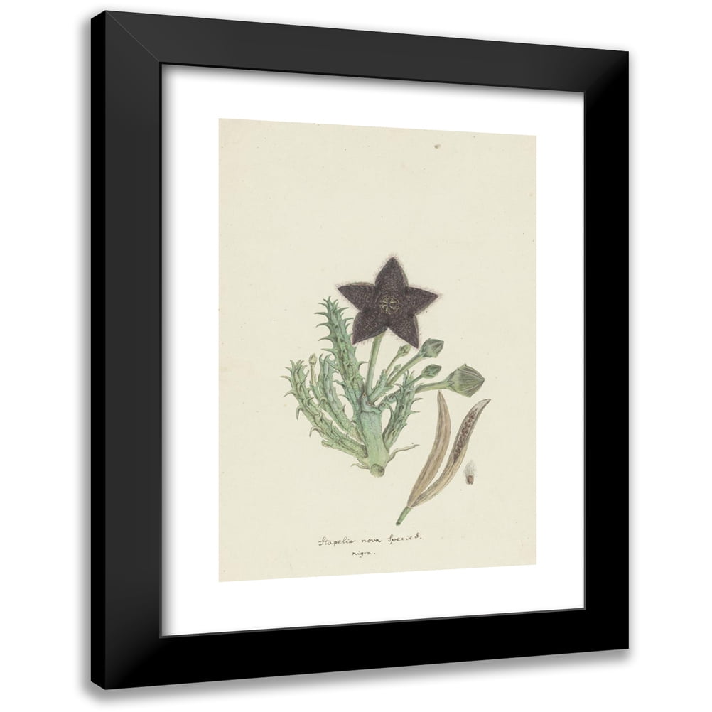 Robert Jacob Gordon 11x14 Black Modern Framed Museum Art Print Titled ...
