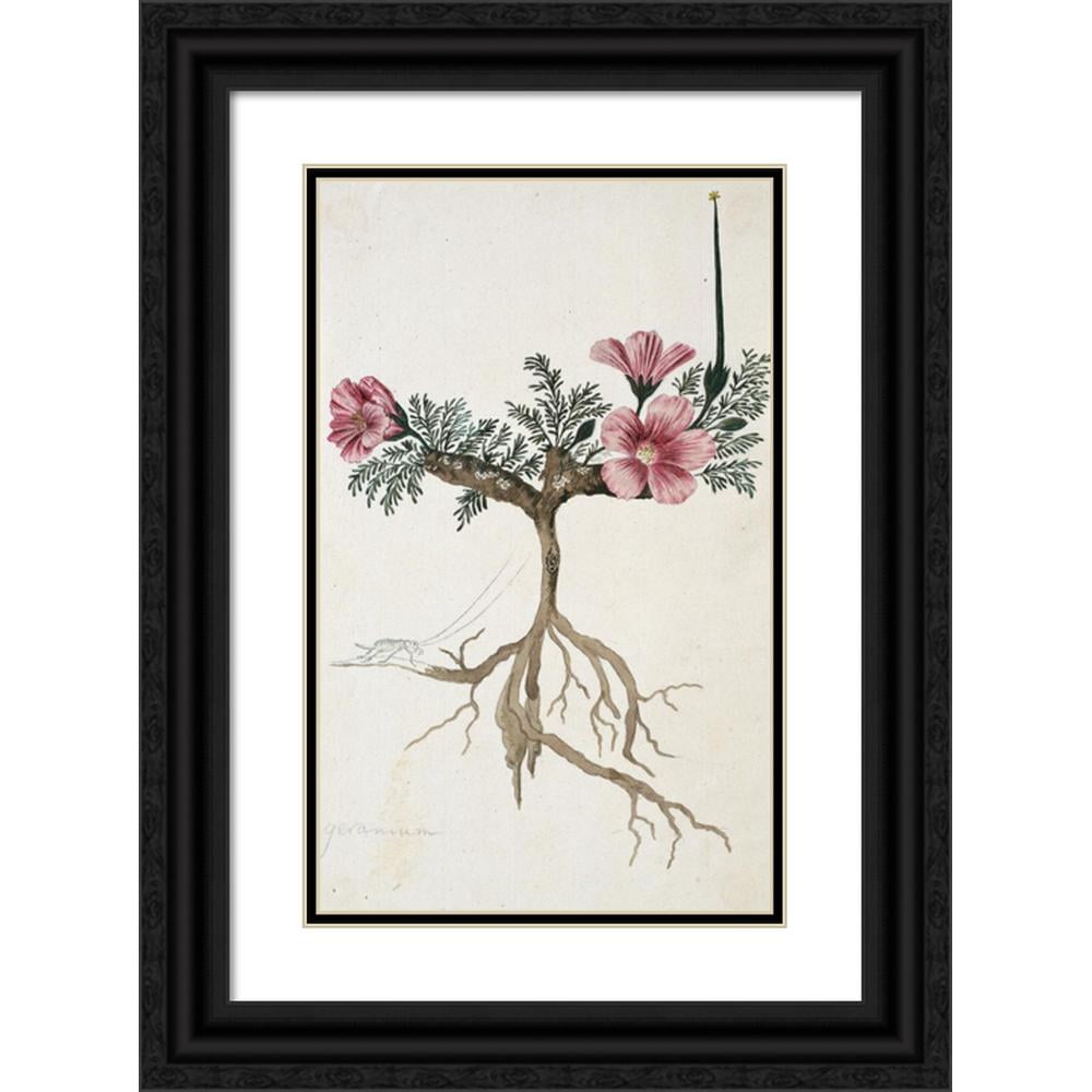 Robert Jacob Gordon 11x14 Black Ornate Wood Framed Double Matted Museum ...