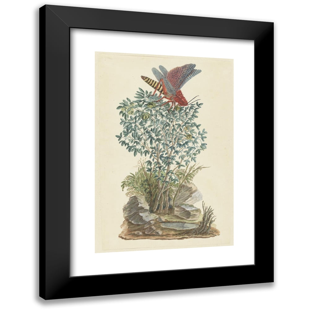 Robert Jacob Gordon 13x18 Black Modern Framed Museum Art Print Titled ...