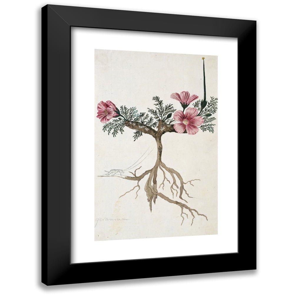Robert Jacob Gordon 13x18 Black Modern Framed Museum Art Print Titled ...