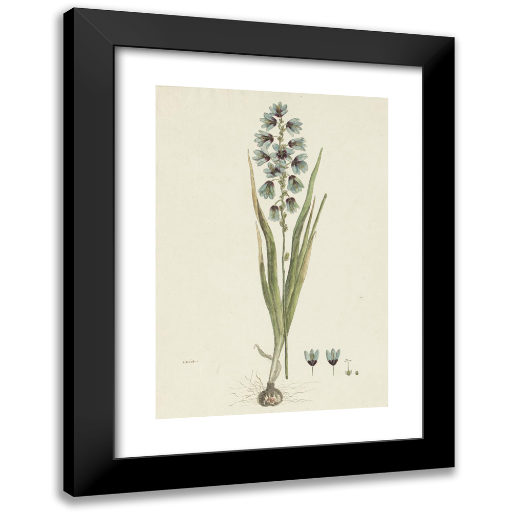 Robert Jacob Gordon 17x24 Black Modern Framed Museum Art Print Titled ...