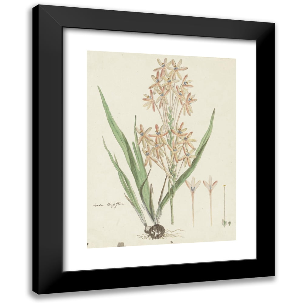 Robert Jacob Gordon 19x24 Black Modern Framed Museum Art Print Titled ...