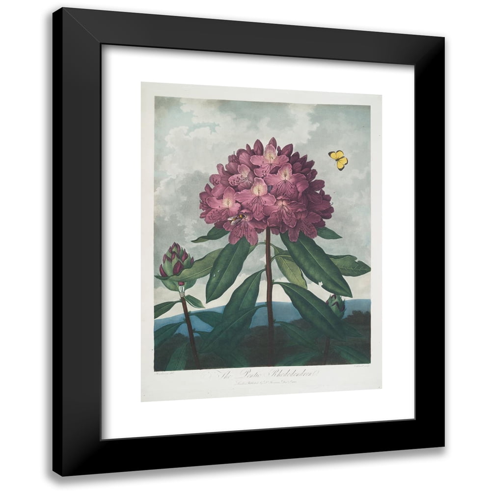 Robert John Thornton 11x14 Black Modern Framed Museum Art Print Titled ...