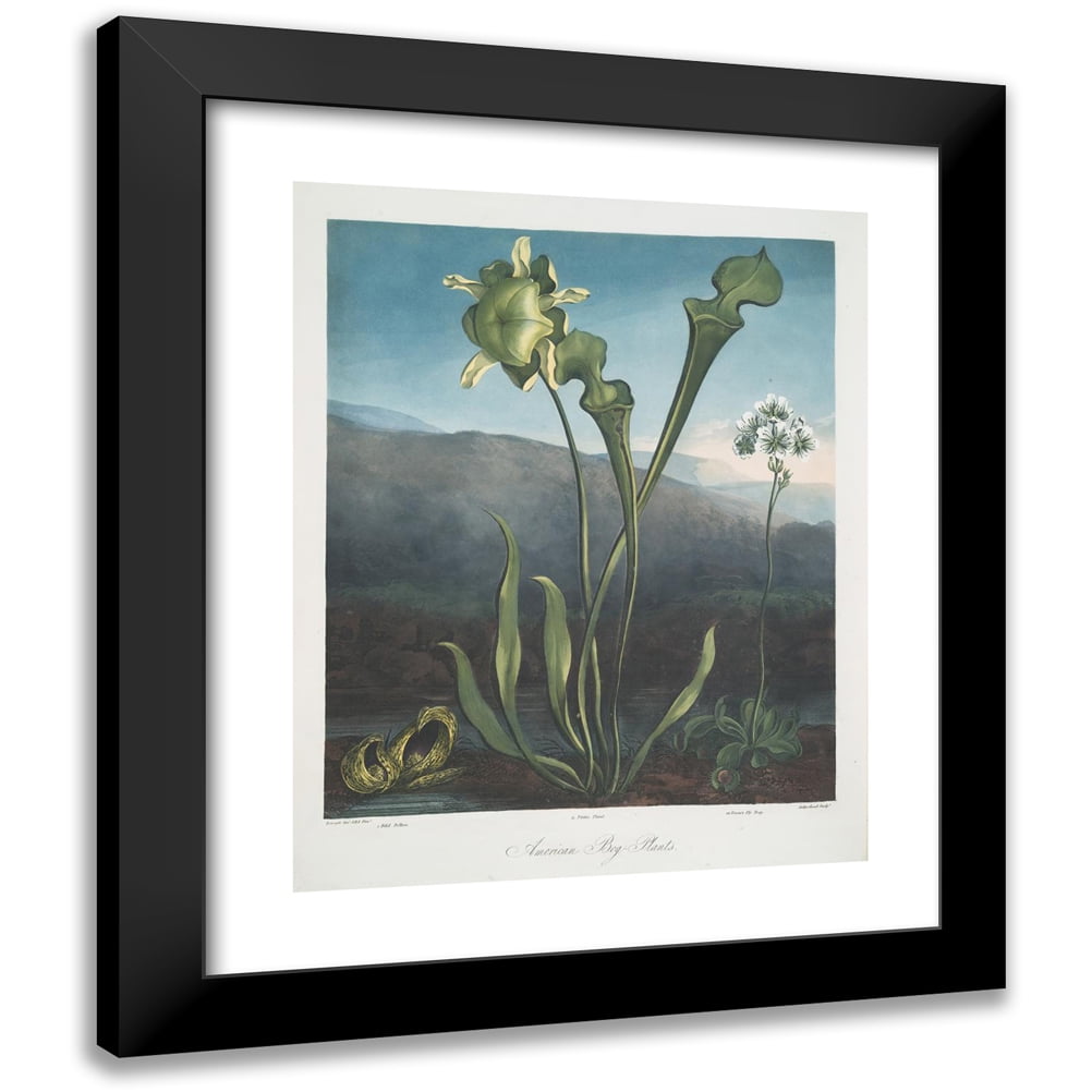 Robert John Thornton 15x18 Black Modern Framed Museum Art Print Titled ...