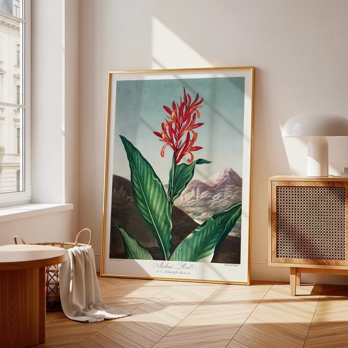 Robert John Thornton Indian Reed Temple of Flora Colorful Vintage ...