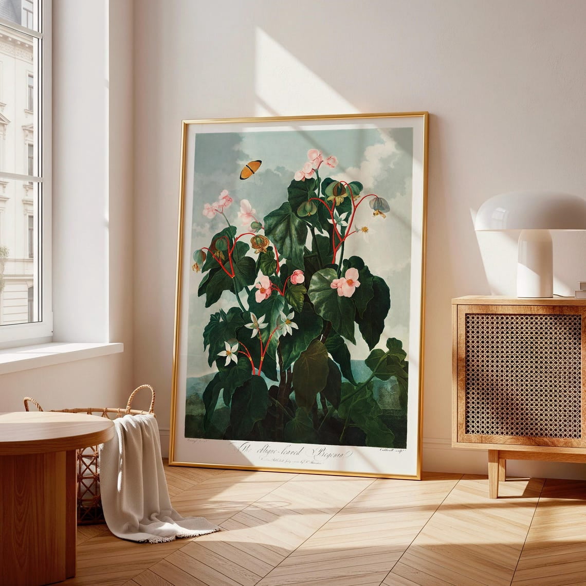 Robert John Thornton The Oblique–Leaved Begonia Temple of Flora Vintage ...