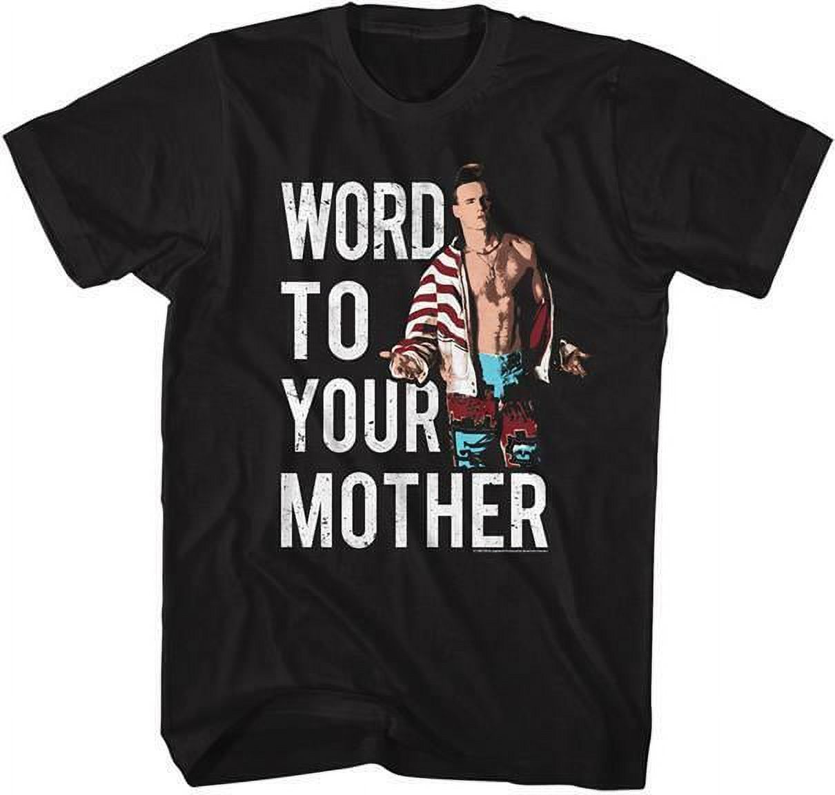 Robert Matthew Van Winkle Vanilla Ice BABY American RAPPER ACTOR TV T ...