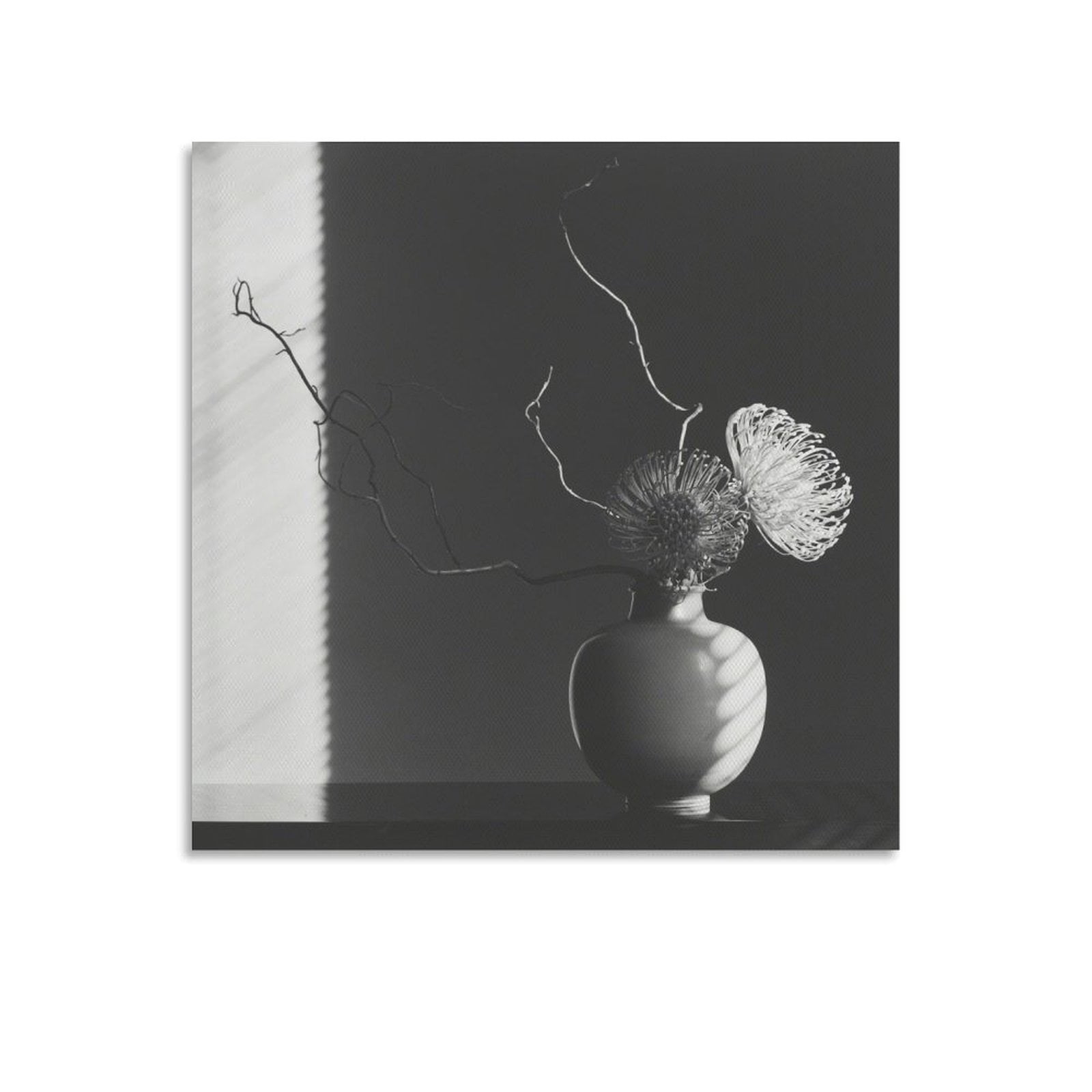 Robert Michael Mapplethorpe Was An American Photographer，Flower ...