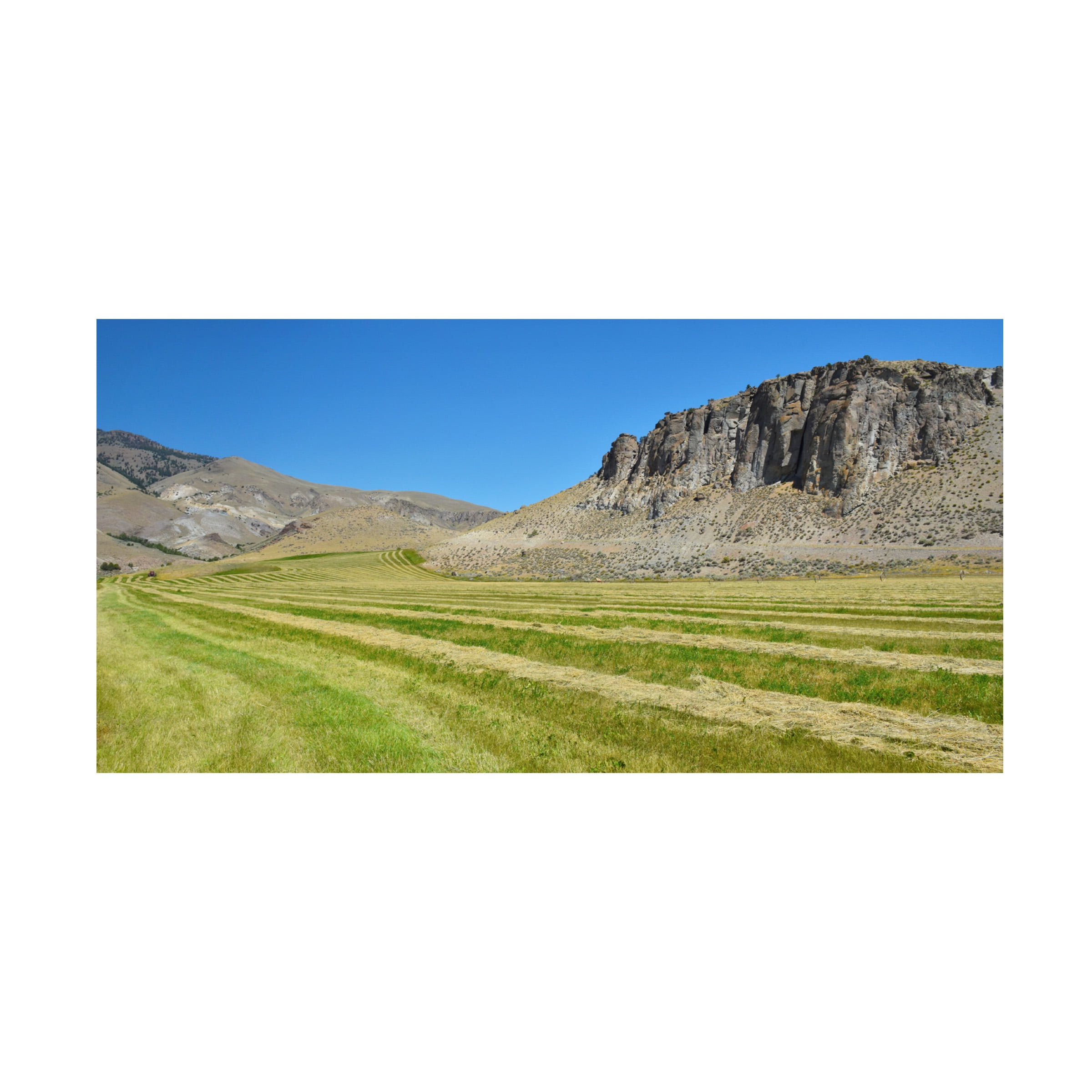Robert Michaud 'Along US 93 South of Salmon 2' Canvas Art - Walmart.com