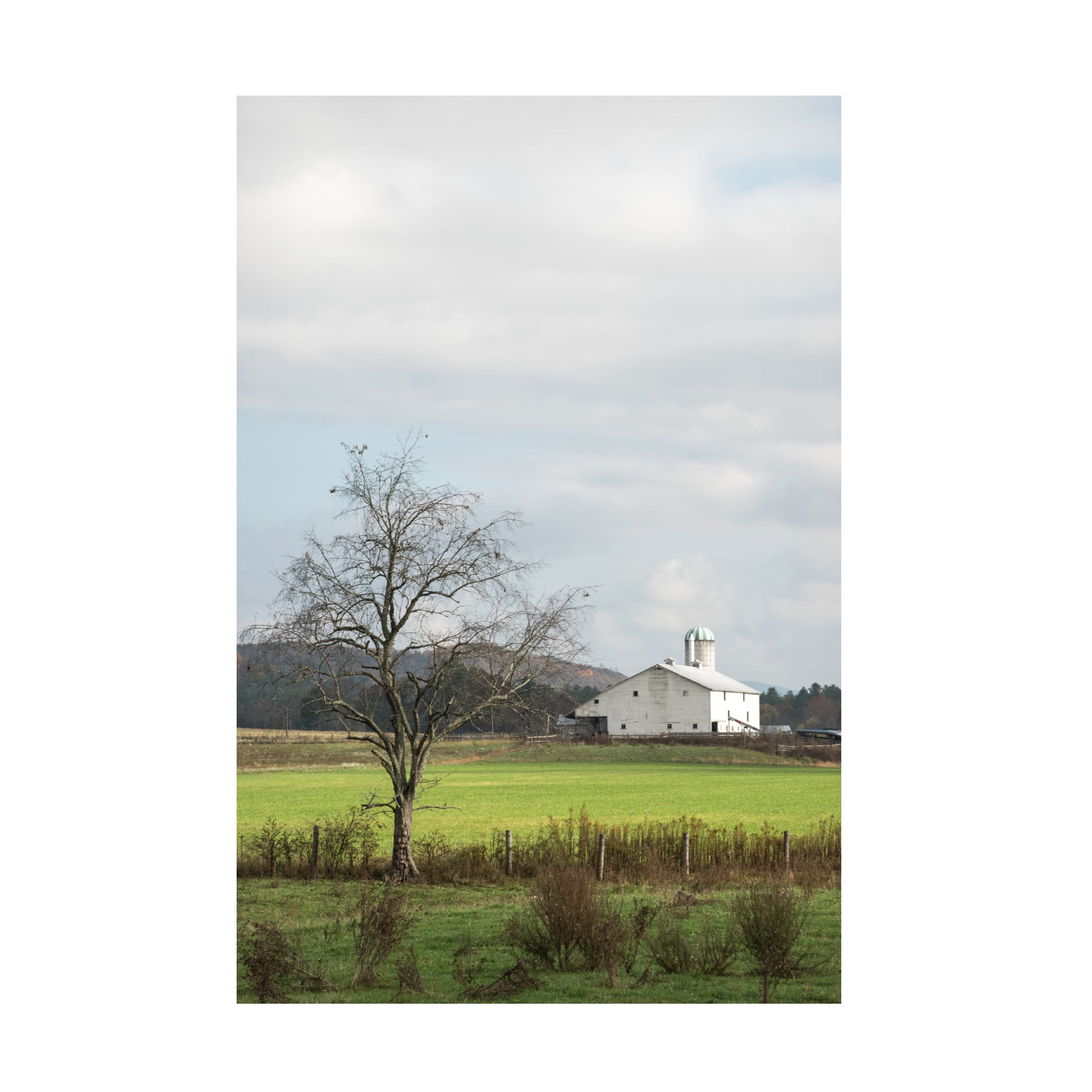 Free Shipping! Trademark Fine Art Robert Michaud Barn 4 Wrapped Canvas ...